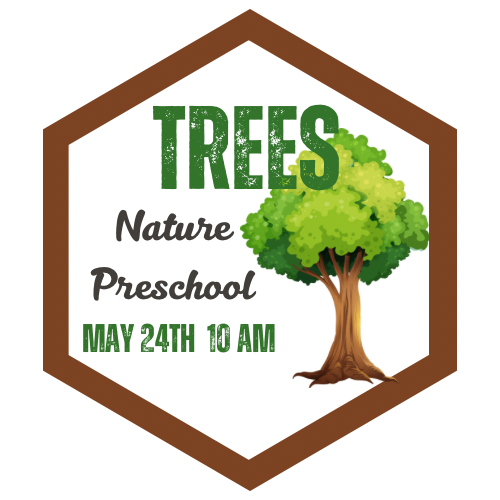 Nature Preschool: TREES